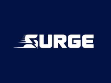 Surge: WordPress Caching plugin with no configuration required ...